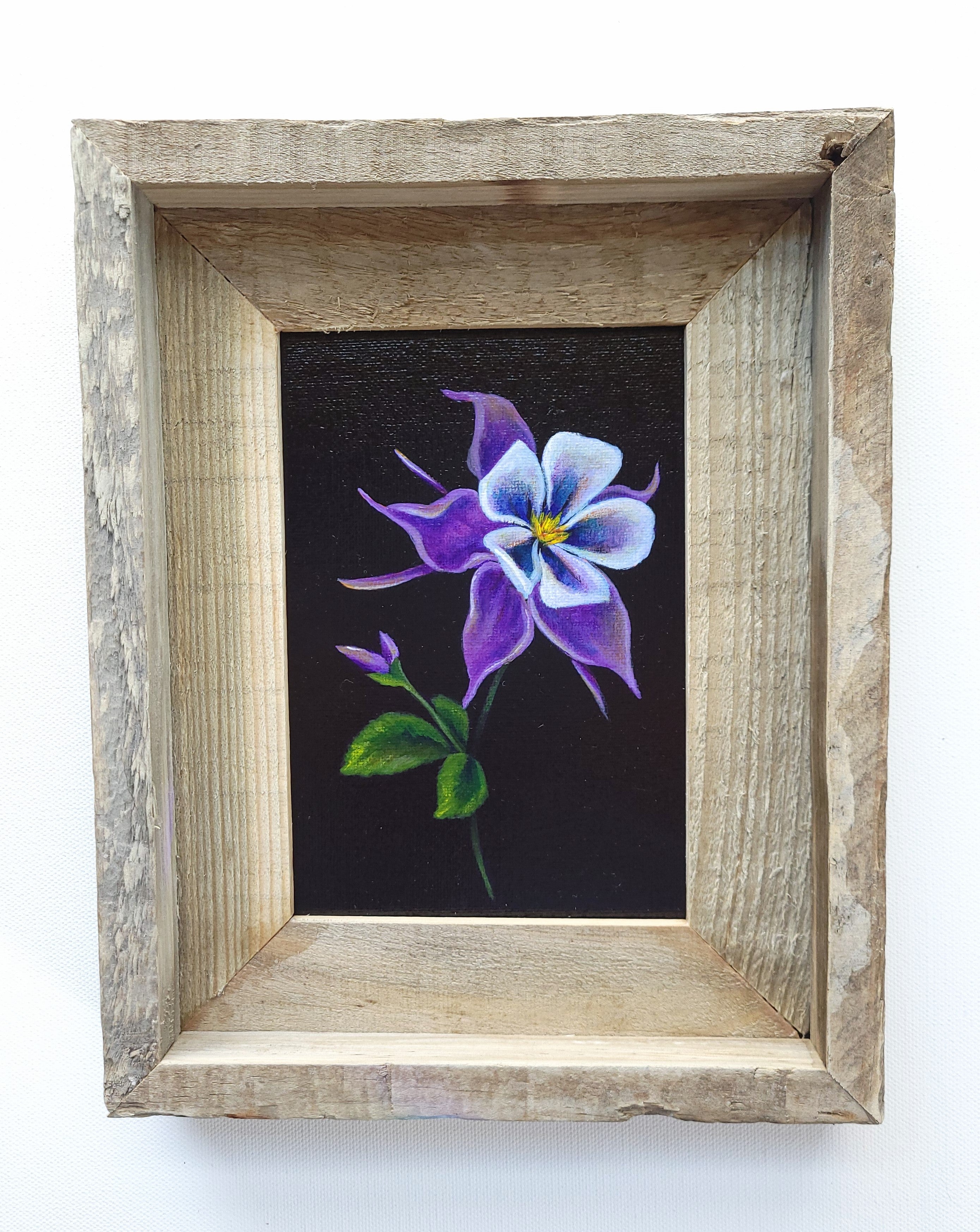 5x7 Framed Columbine VI – The Hummingbird and The Beagle